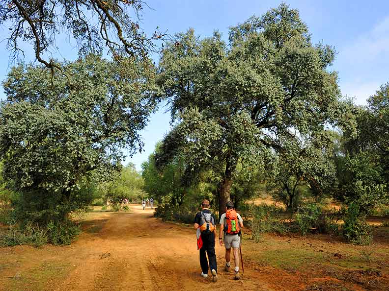 Qué ver en Guillena: lo que no te puedes perder | Realia